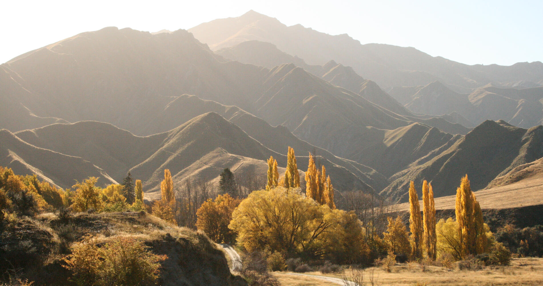 Macetown Mountain Bike Trail | Queenstown, New Zealand