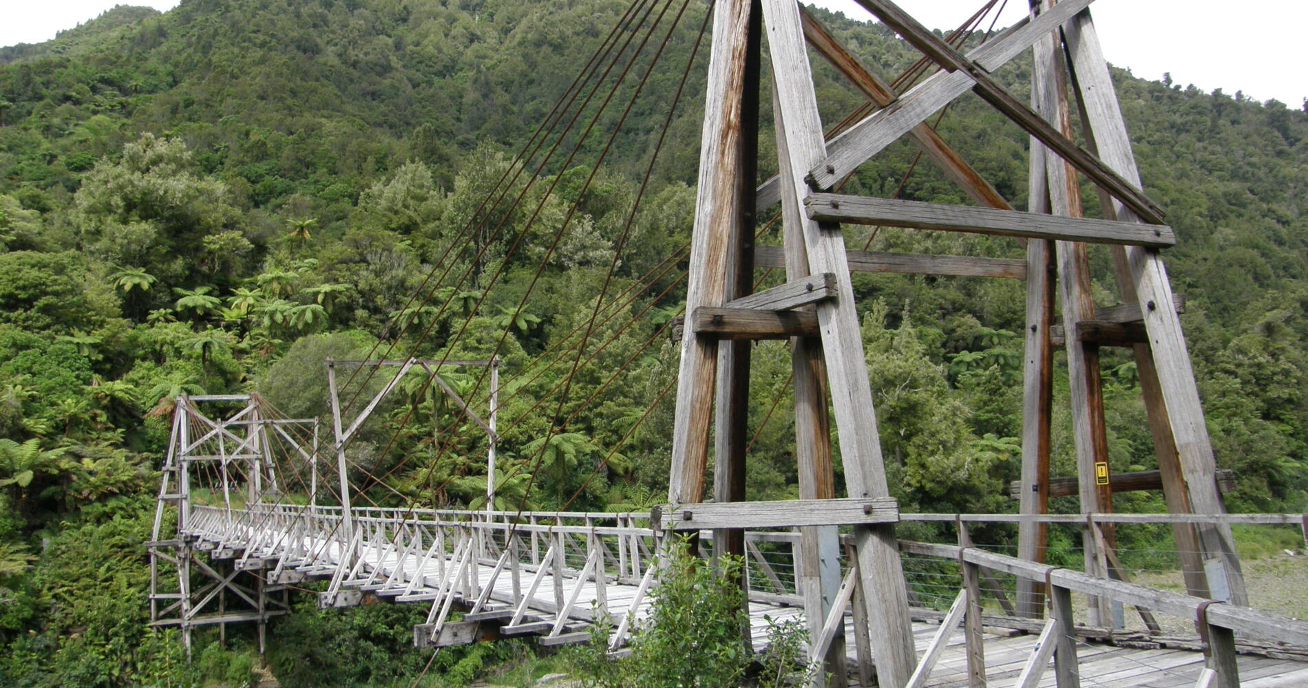 Waioeka Gorge Scenic Reserve | Eastland, New Zealand