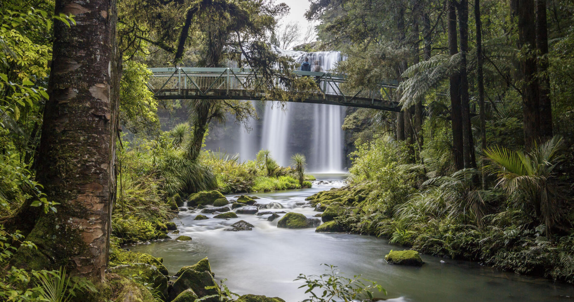 Things to see and do in Whangārei, New Zealand