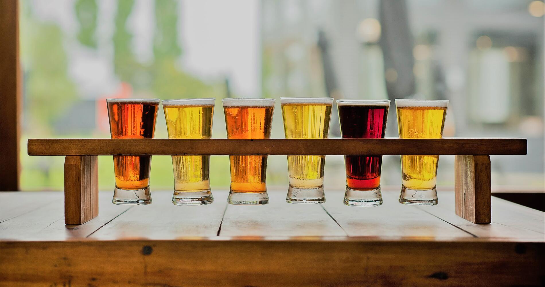 Top 10 beer and brewery experiences | 100% Pure NZ