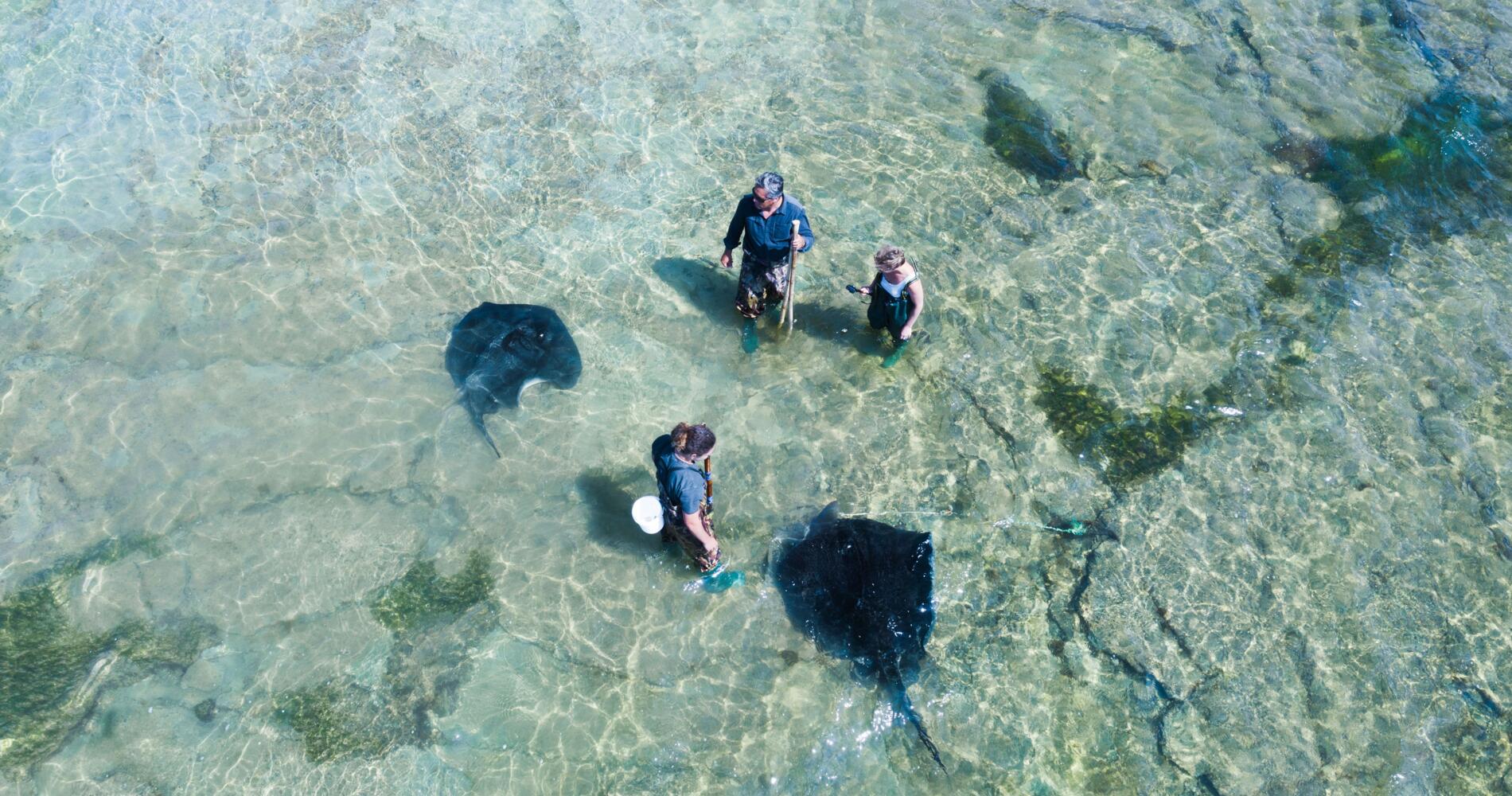 State Highway 35 Itinerary | 100% Pure New Zealand