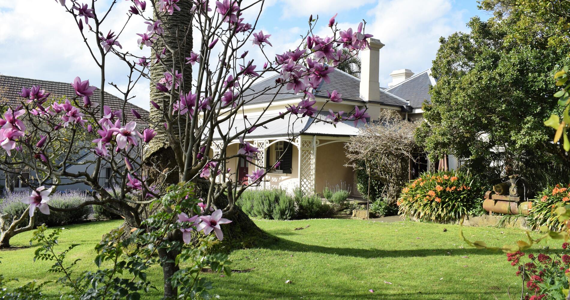 Parnell Historic Walk | Auckland, New Zealand