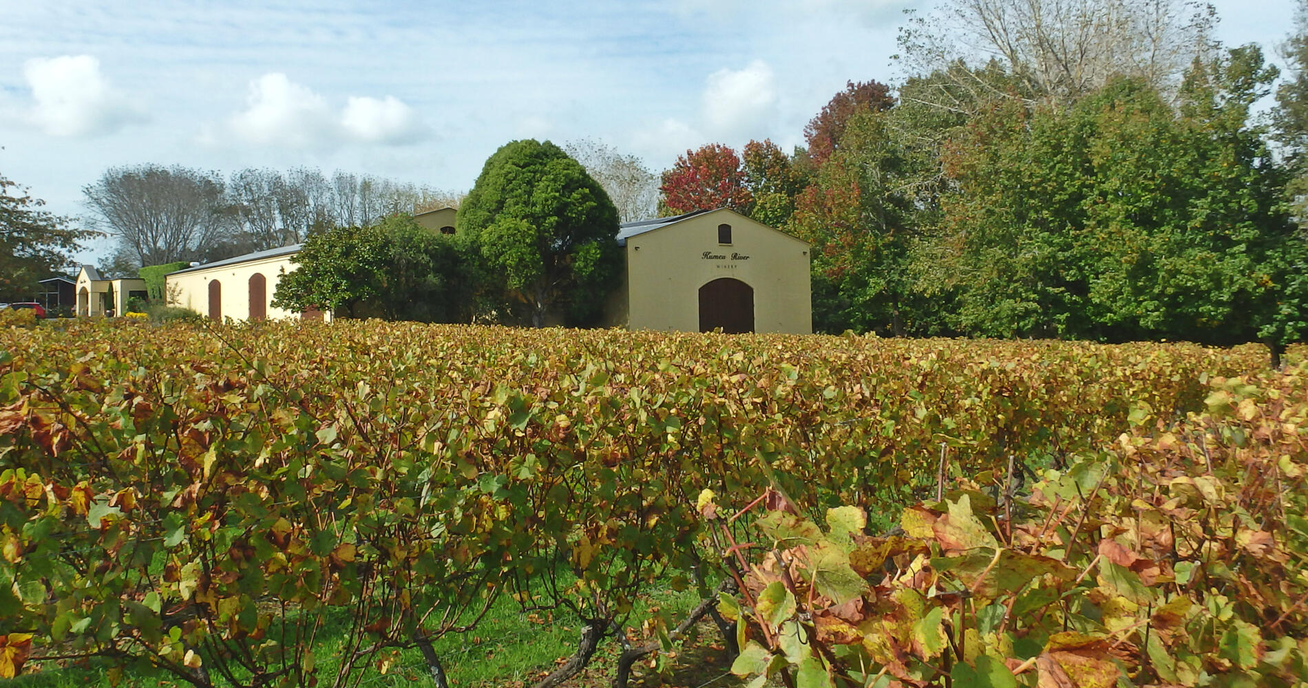 Things to see and do in Kumeu, New Zealand