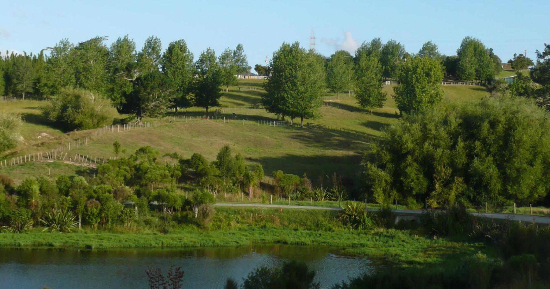 Things to see and do in Wellsford, New Zealand