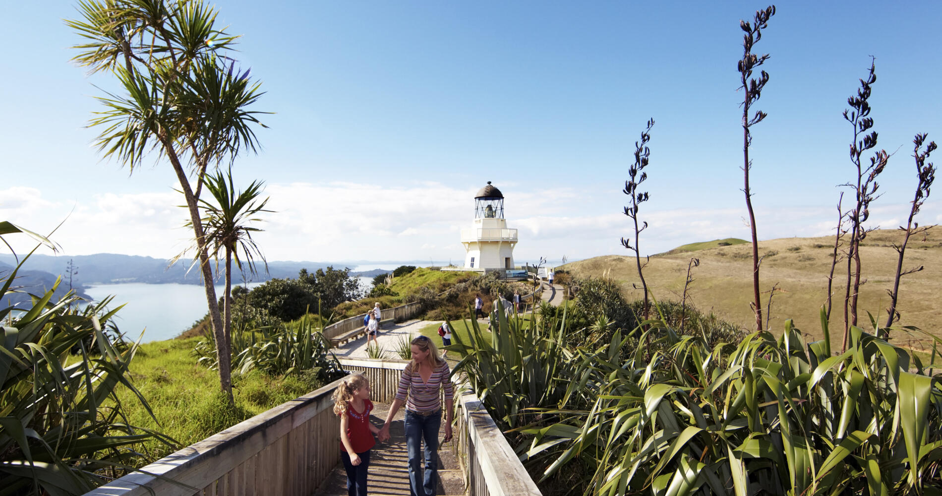 Āwhitu Peninsula | Auckland, New Zealand