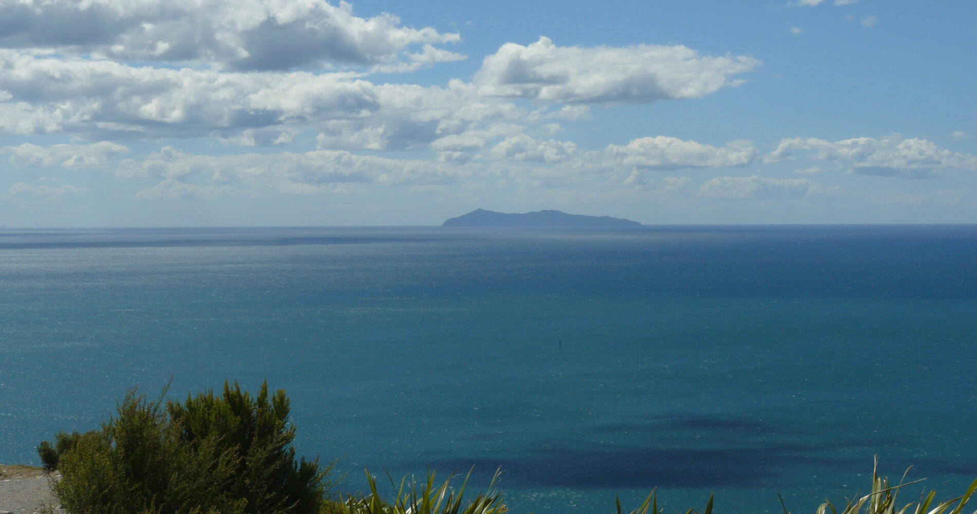 Tuhua (Mayor) Island | Bay of Plenty, New Zealand