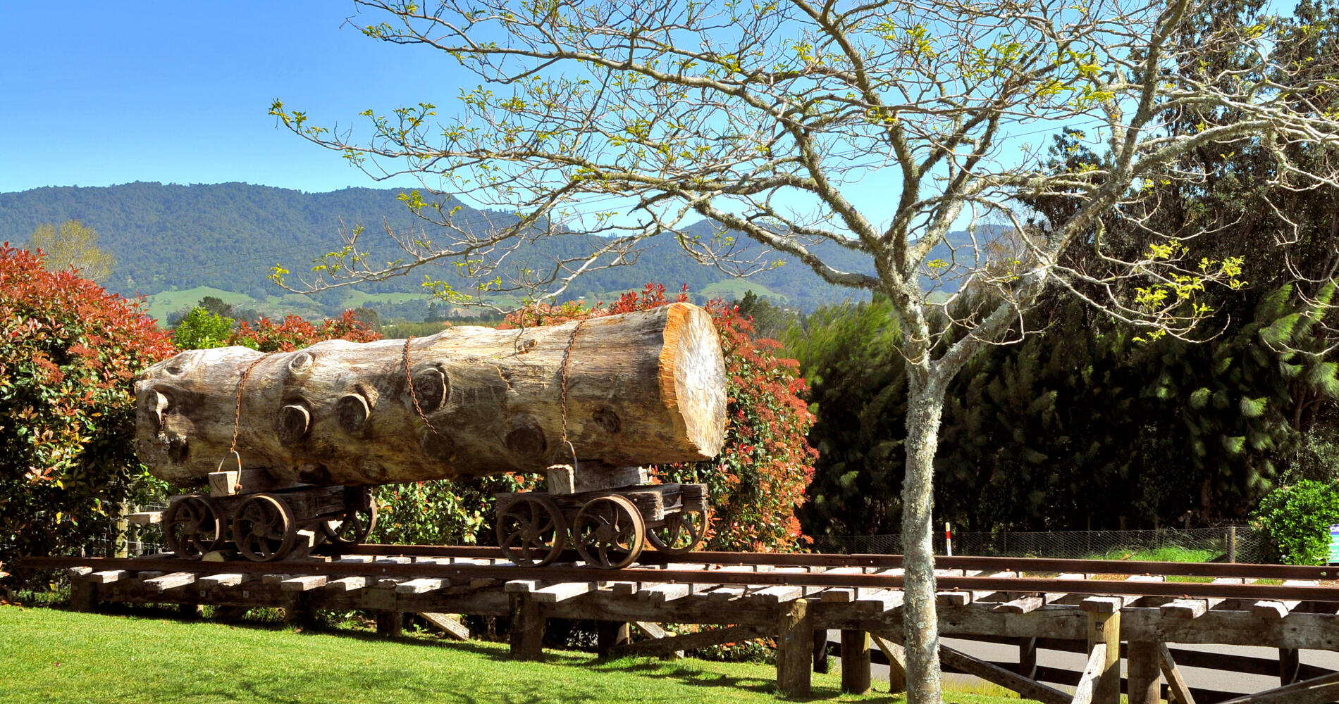 Things to see and do in Katikati, New Zealand