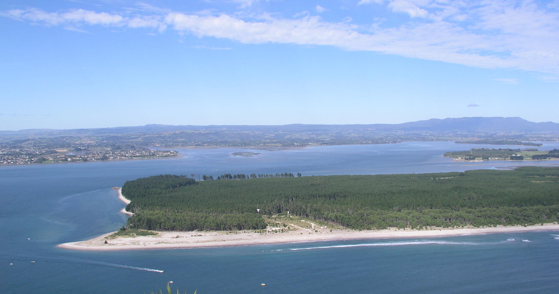 Matakana Island | Bay of Plenty, New Zealand