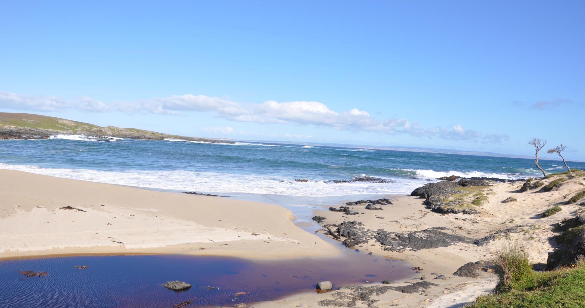 Chatham Islands | 100% Pure New Zealand