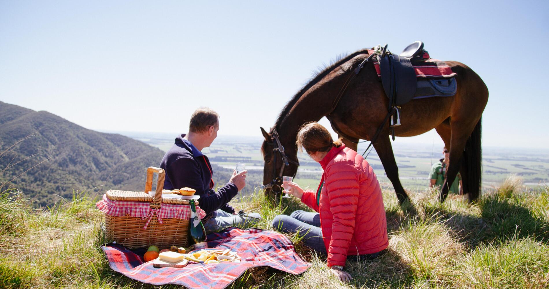 Peel Forest Park | Christchurch - Canterbury, New Zealand