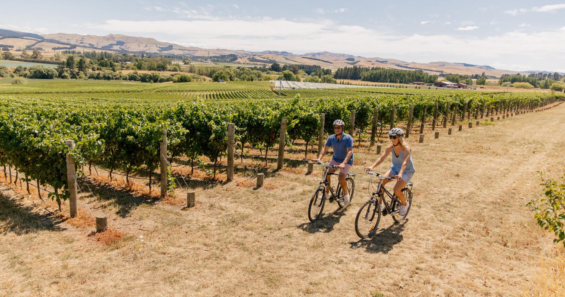 Things to do in Waipara | 100% Pure New Zealand