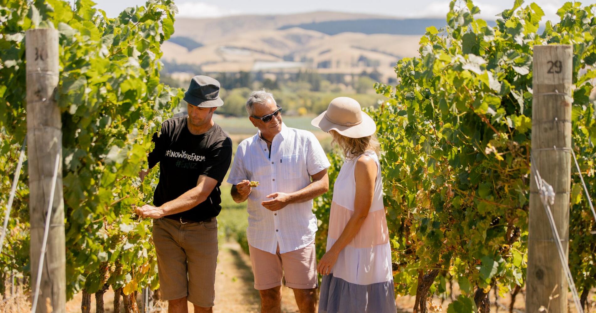 Wineries in Waipara Valley | 100% Pure New Zealand