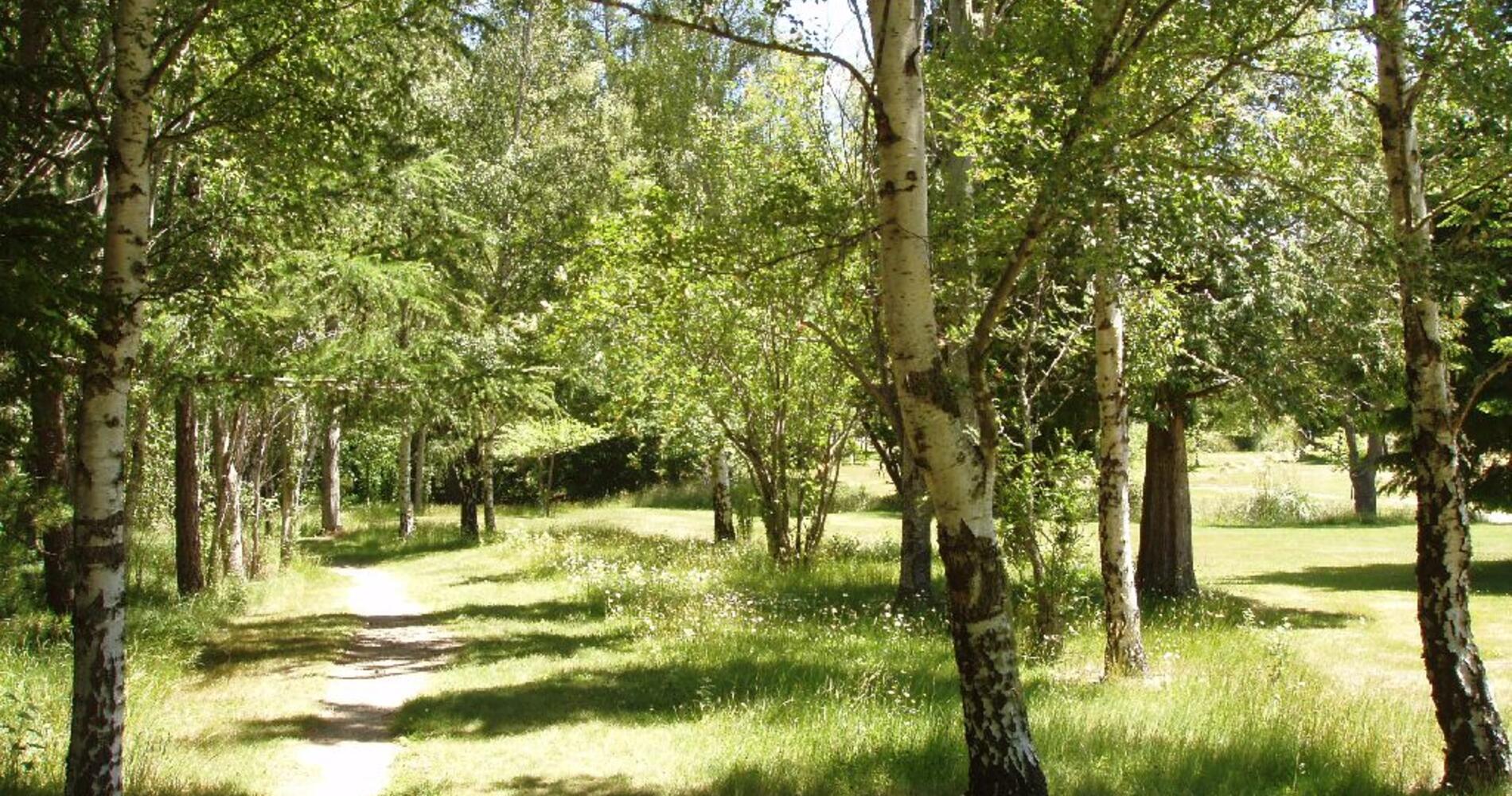 Hanmer Forest | Christchurch - Canterbury, New Zealand