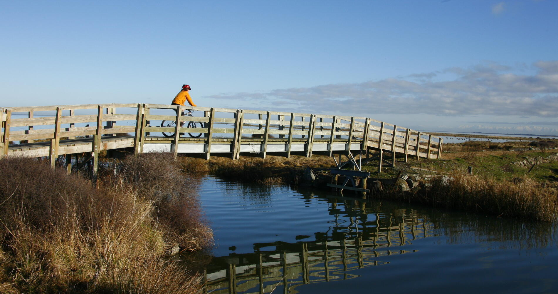Little River Trail | Christchurch - Canterbury, New Zealand