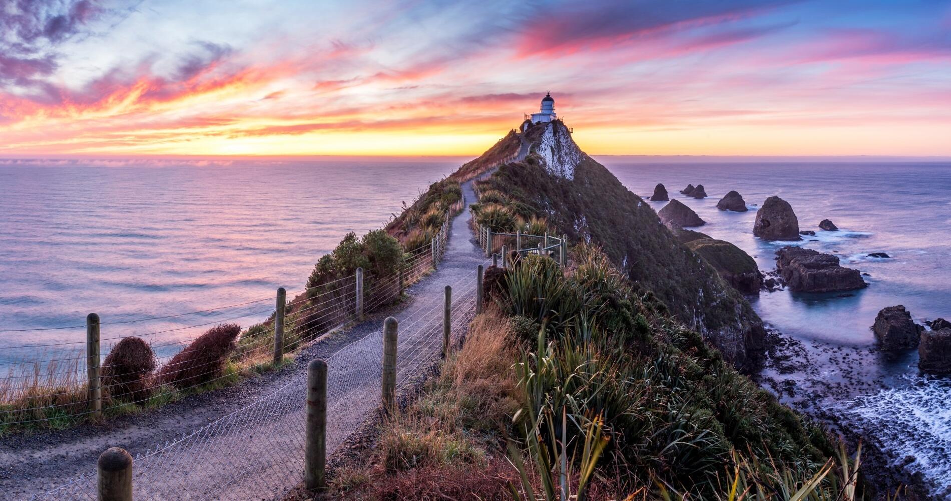 Nugget Point Lighthouse | Clutha, New Zealand