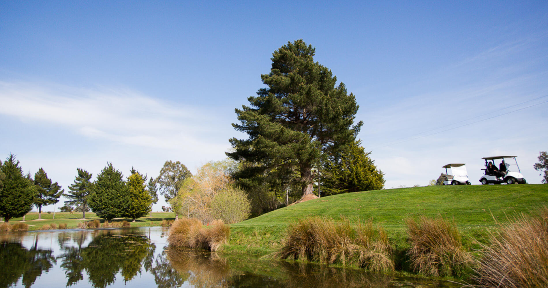 Things to see and do in Mosgiel, New Zealand