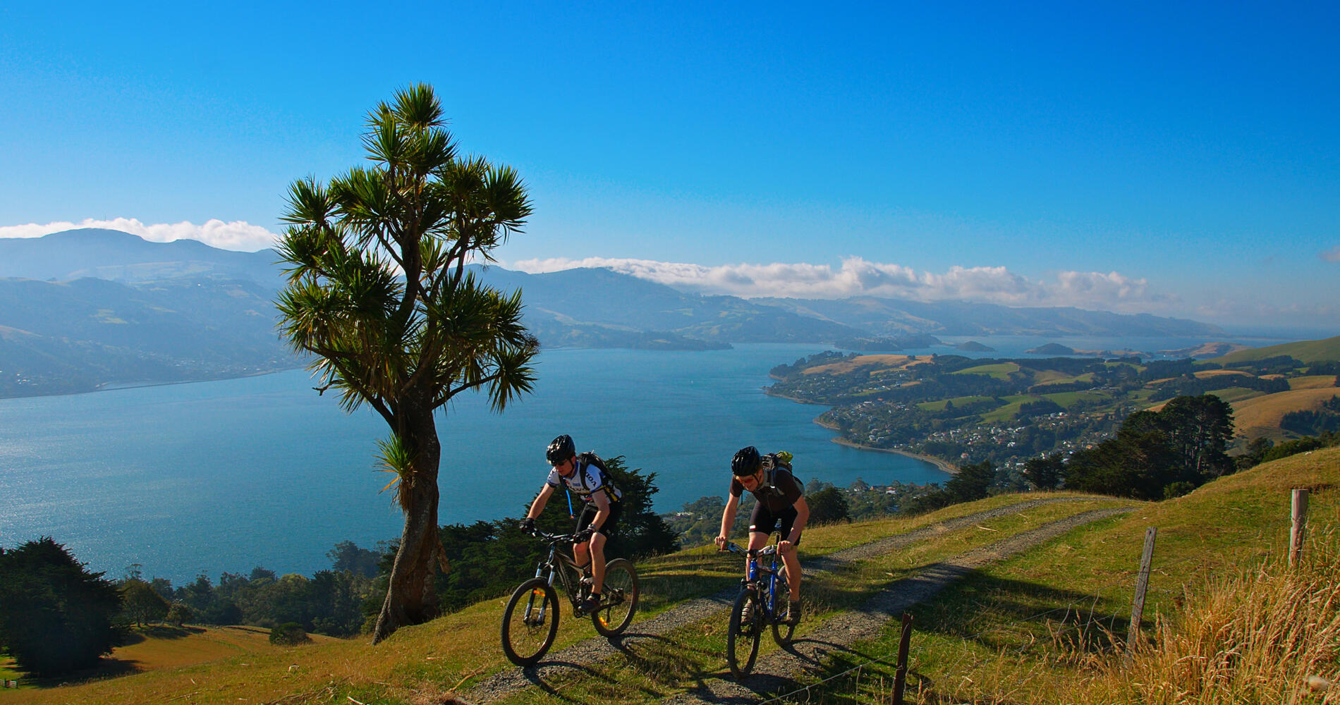 Dunedin, Cycling & Mountain Biking in New Zealand | Things to see and ...