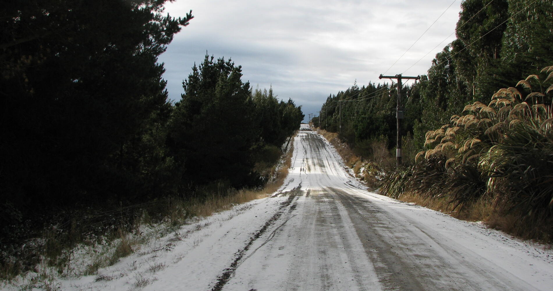Mount Cargill | Dunedin, New Zealand