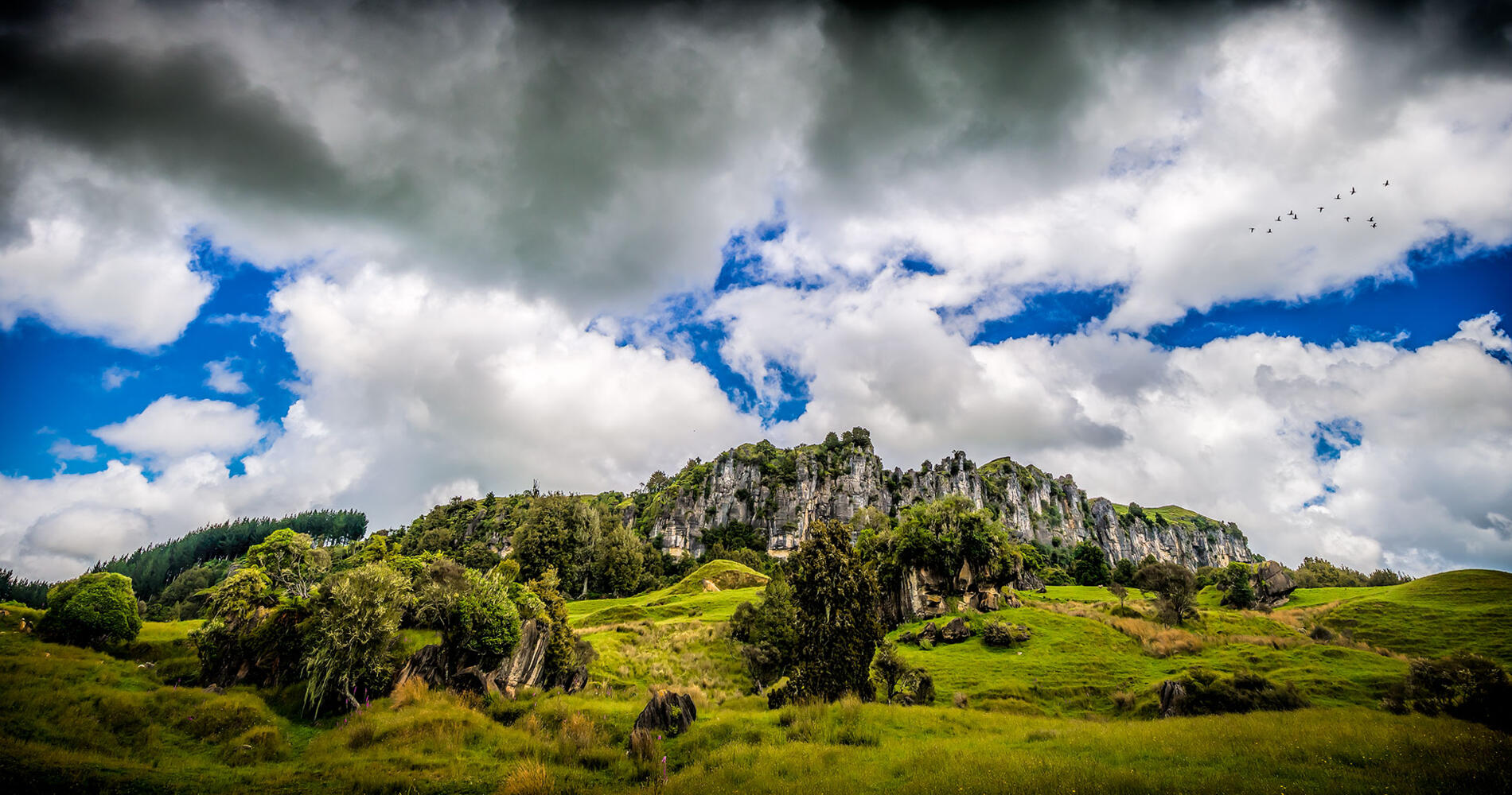 Things to see and do in Piopio, New Zealand