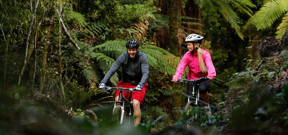 Timber Trail Itinerary | Lake Taupo, New Zealand