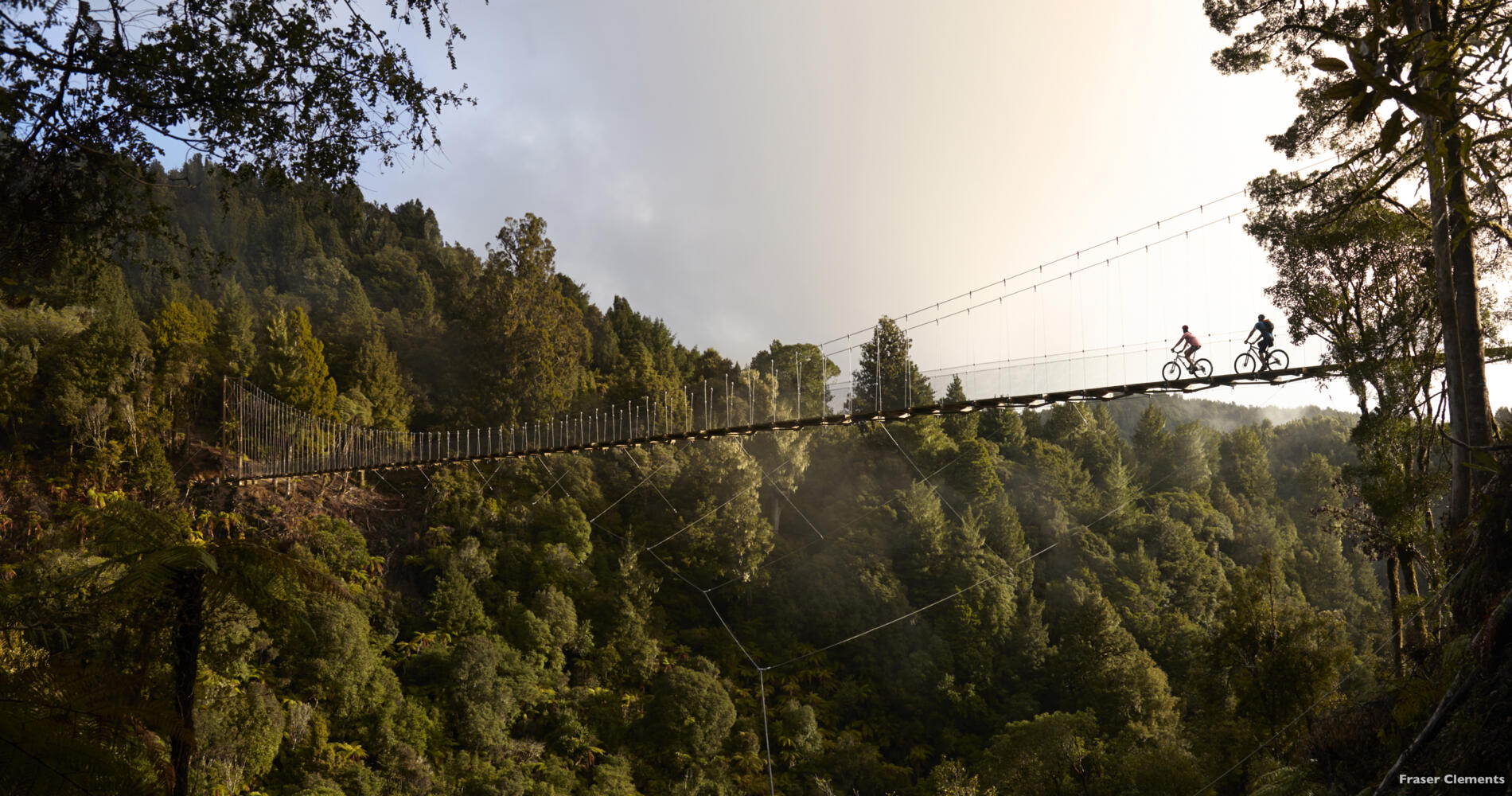 Pureora Forest Park | Lake Taupō, New Zealand
