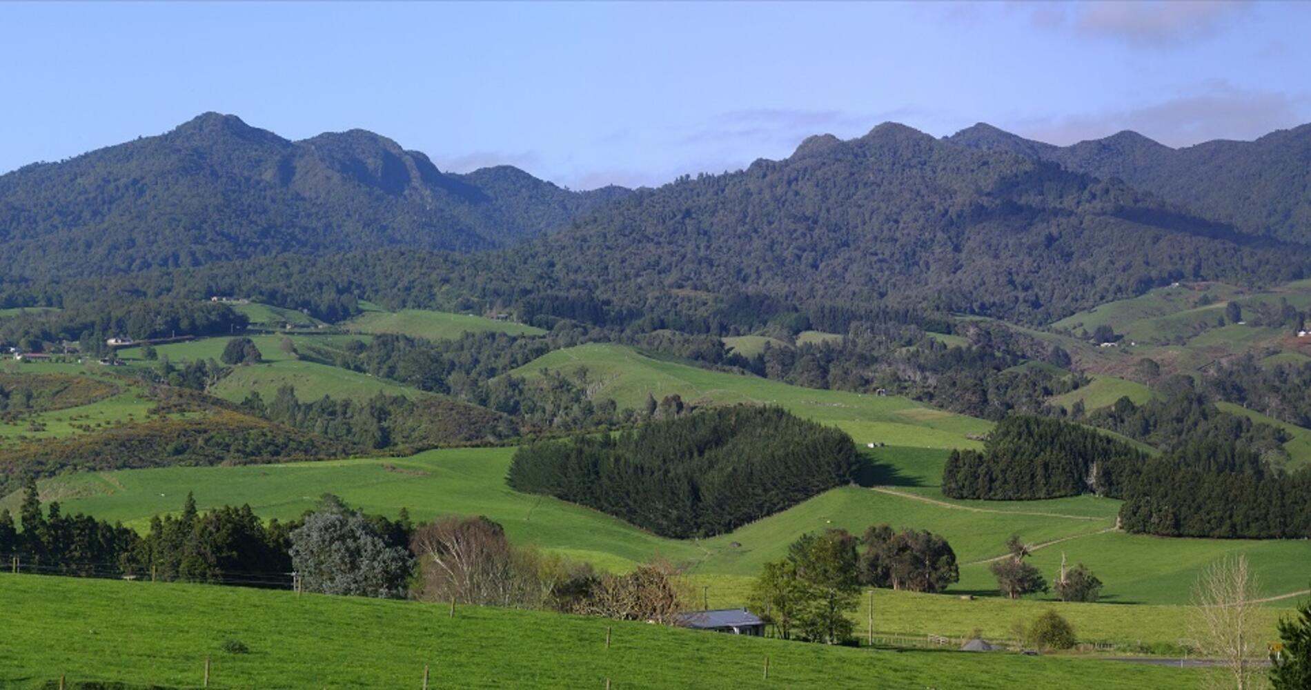 Things to see and do in Pirongia, New Zealand