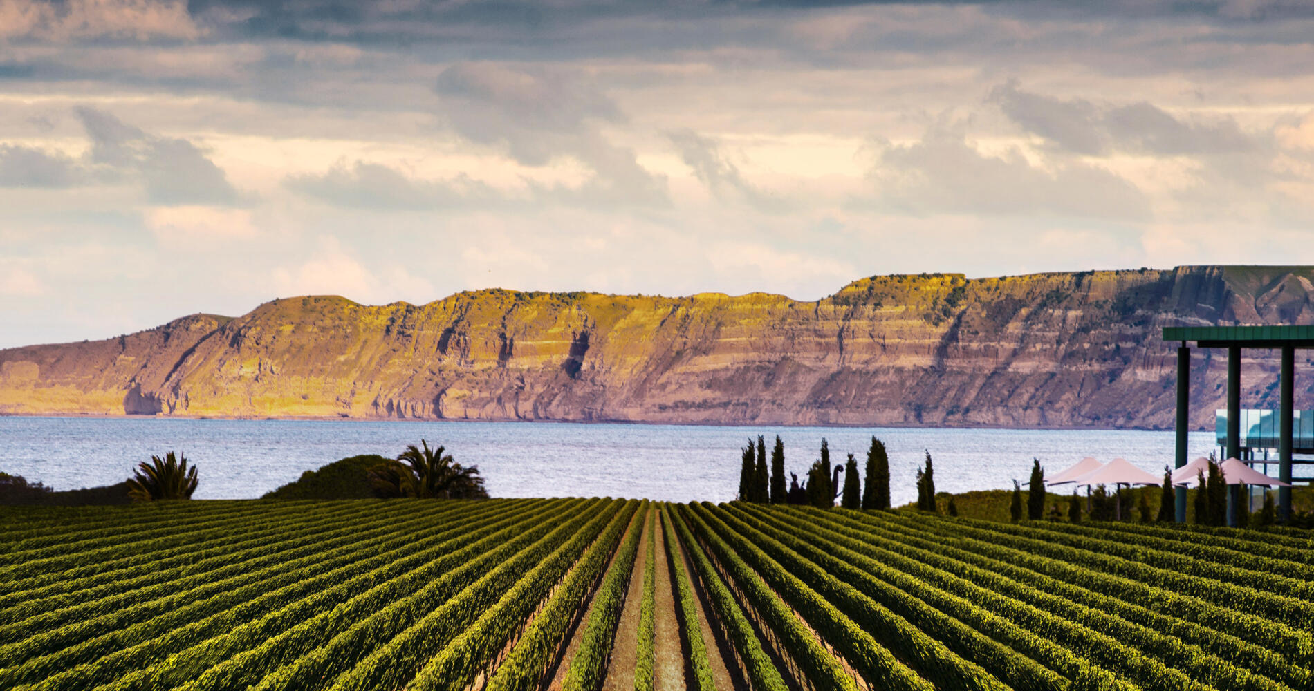 Things to see and do in Te Awanga, New Zealand