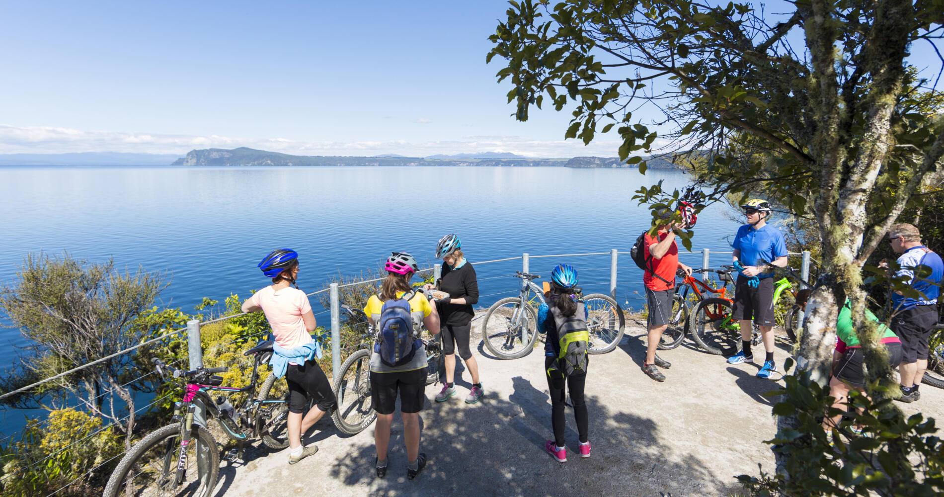 Great Lake Trails | 100% Pure New Zealand