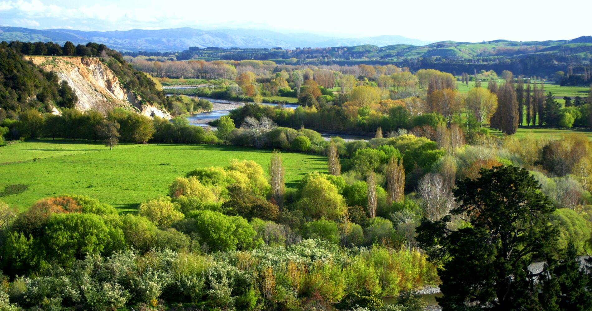 Things to see and do in Apiti, New Zealand