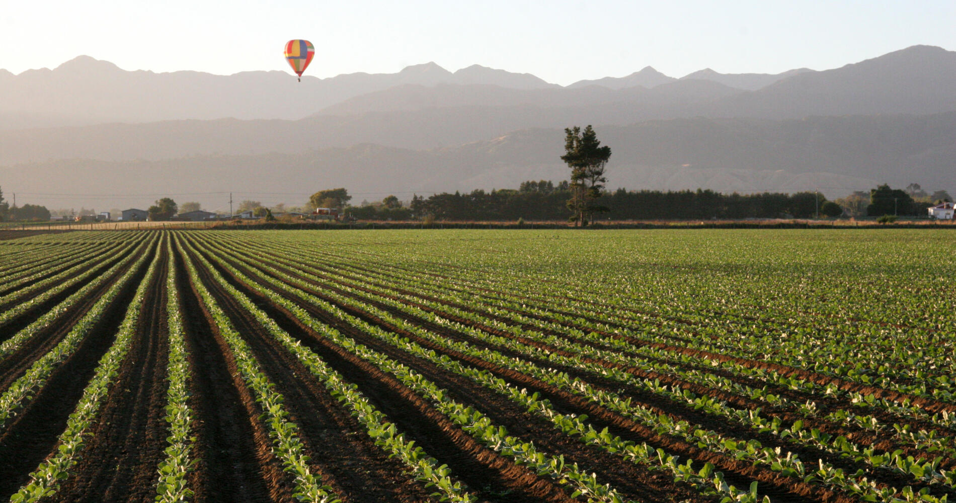 Shannon | 100% Pure New Zealand