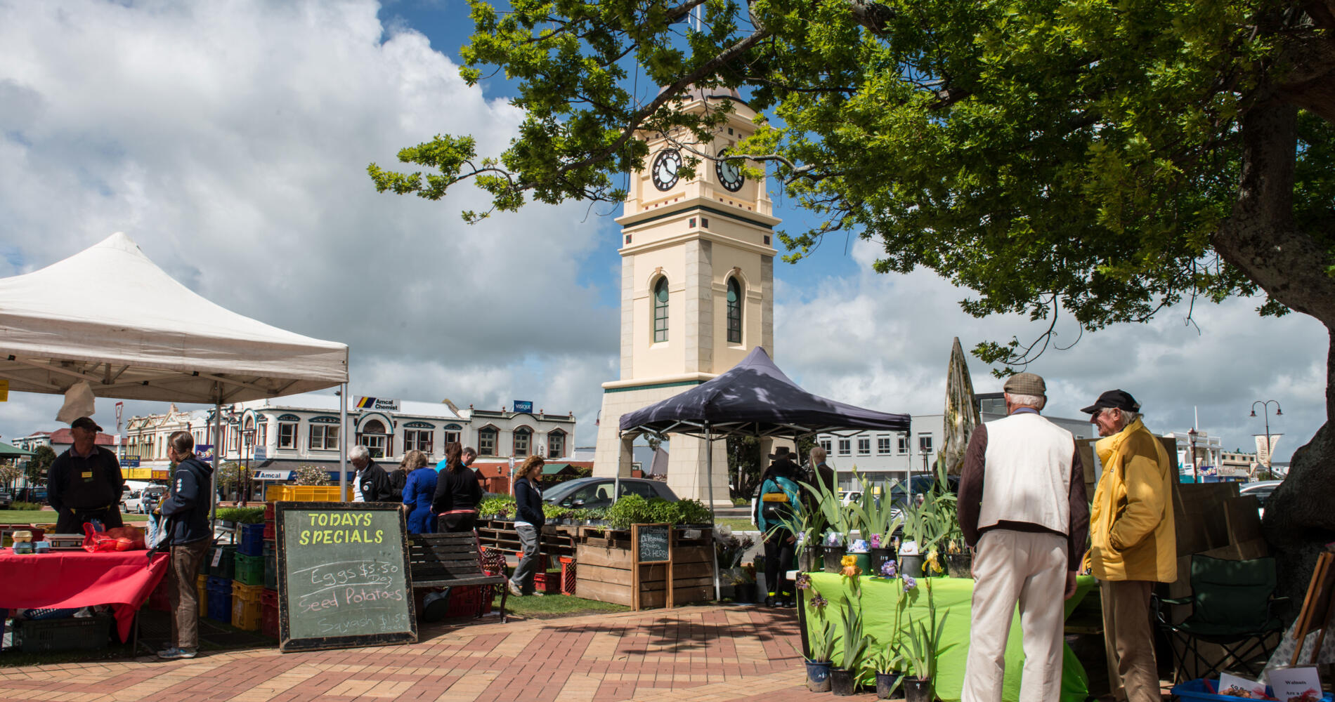 Things to see and do in Feilding, New Zealand