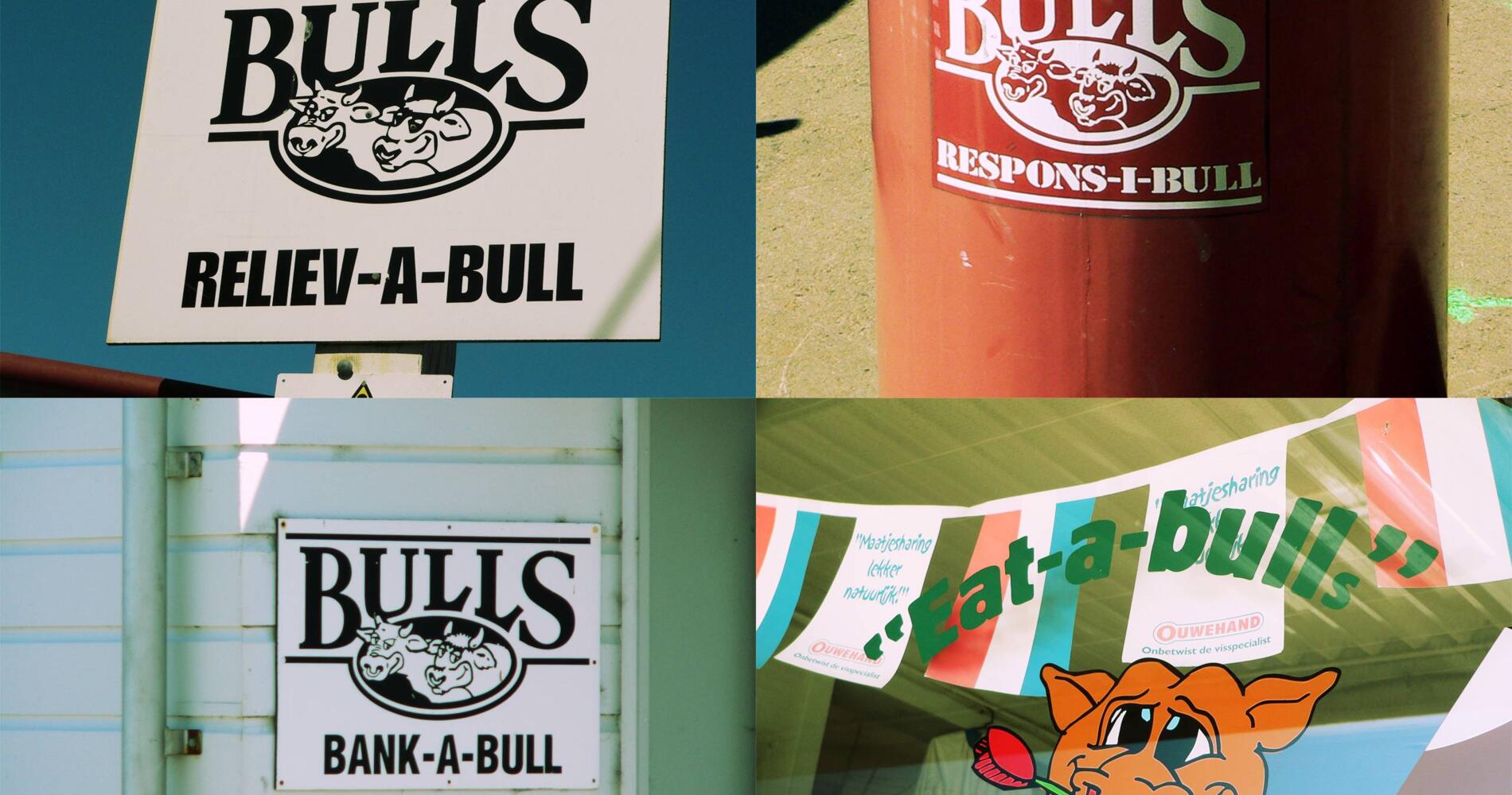 Things to see and do in Bulls, New Zealand