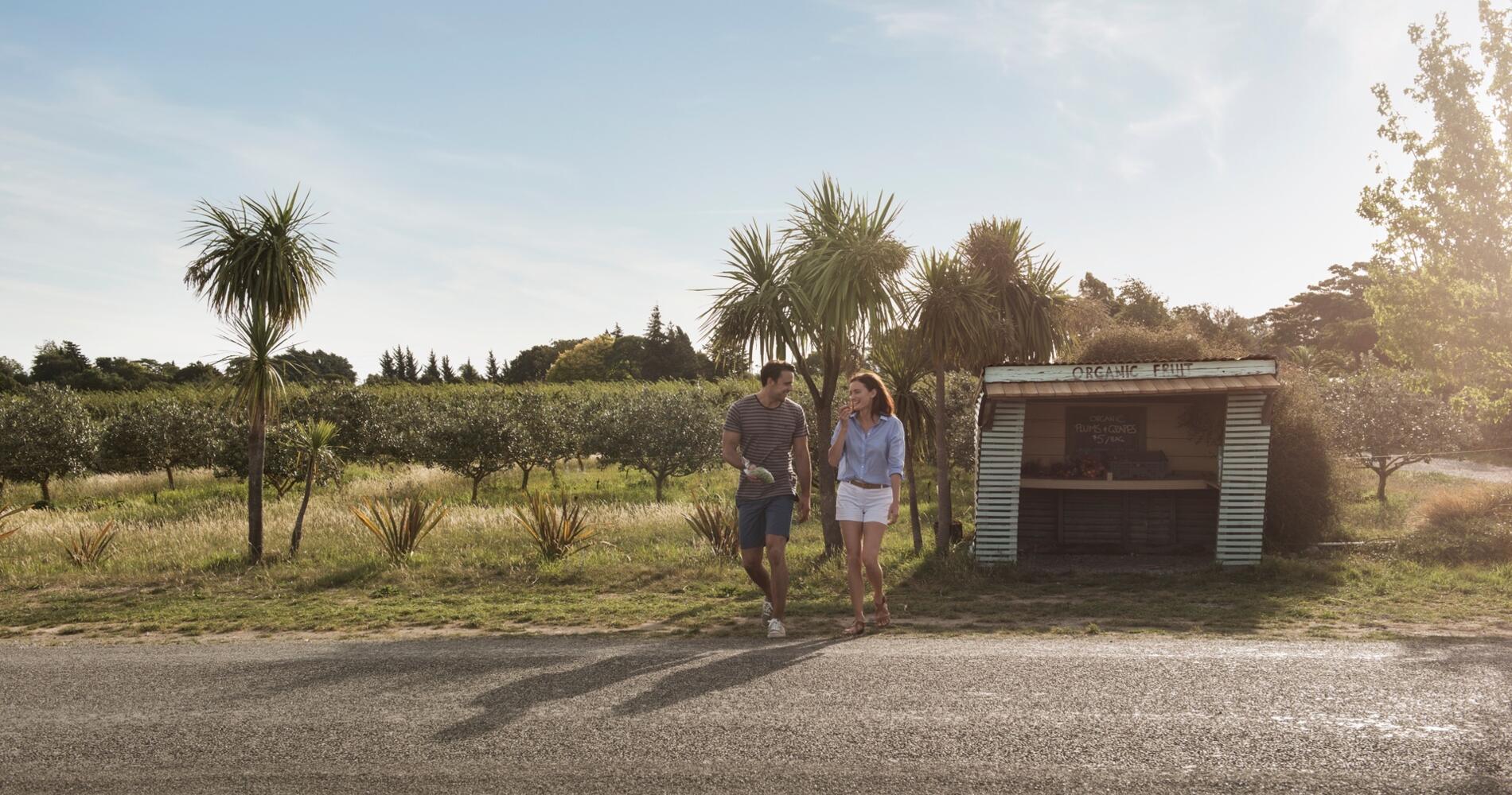 Blenheim - Explore NZ Wine - Marlborough | New Zealand