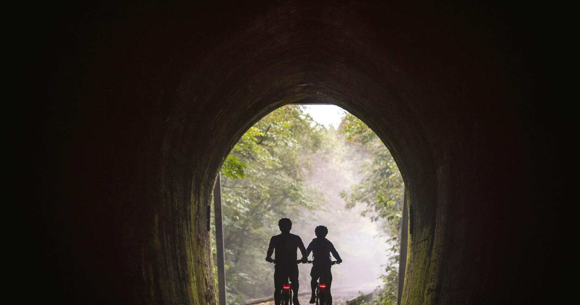 Wineries in Nelson Tasman | 100% Pure New Zealand