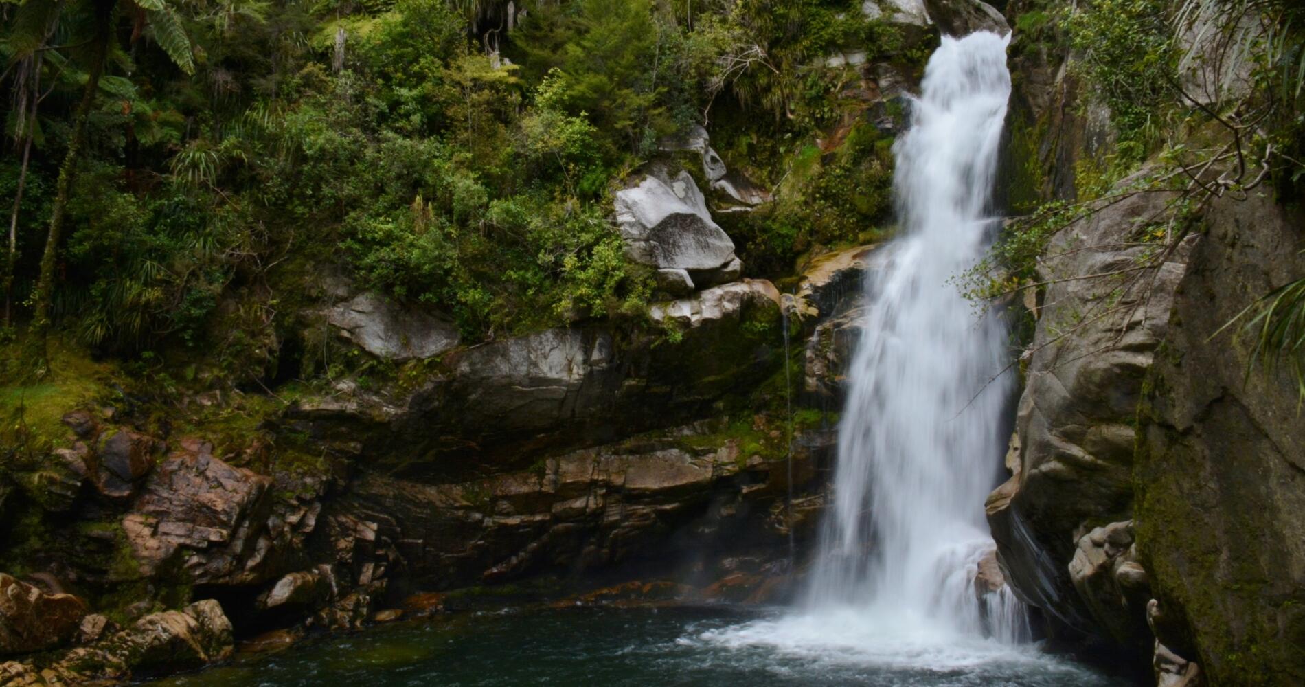 Wainui Falls Track | Nelson, New Zealand
