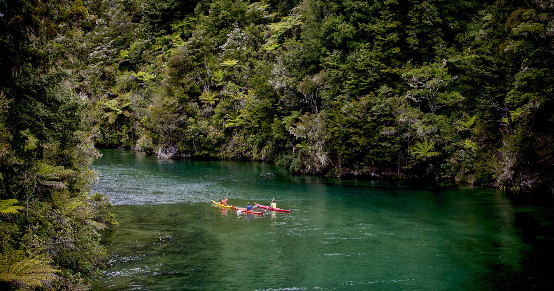 Department Of Conservation in New Zealand | Things to see and do in New ...