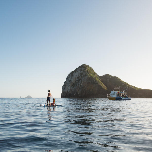 Things to see and do in Kaitaia, New Zealand