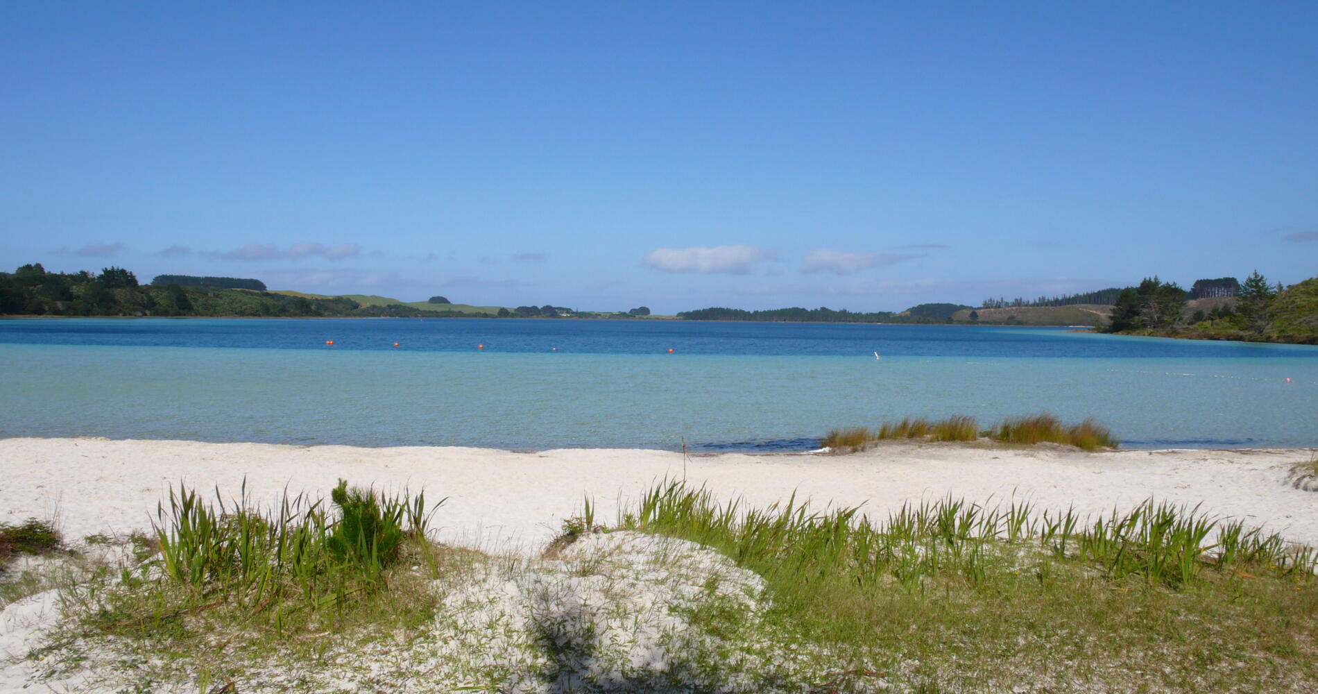 Kai Iwi Lakes | Northland & Bay of Islands, New Zealand