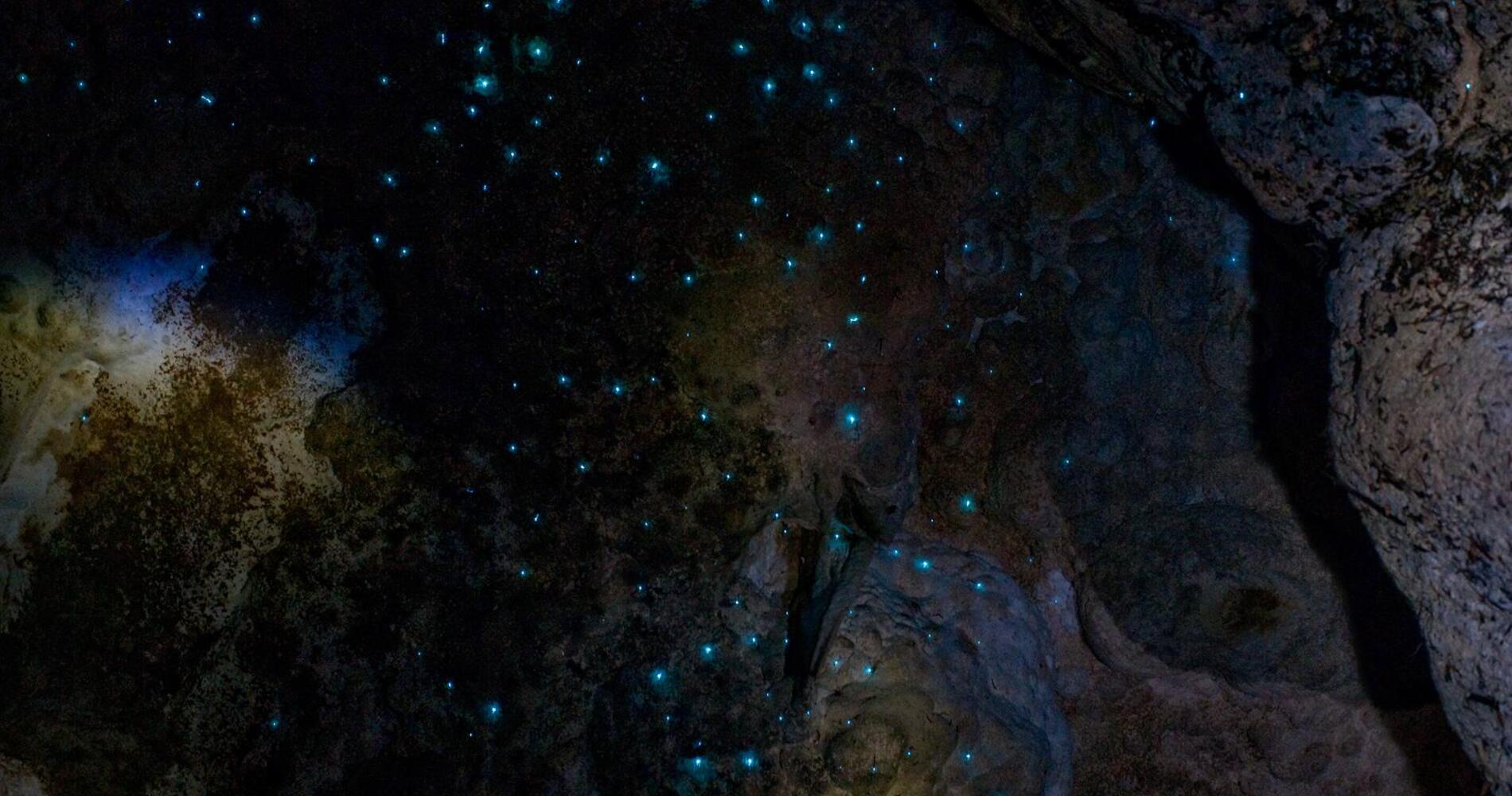 Kawiti Caves (Waiomio Caves) | Northland & Bay of Islands, New Zealand