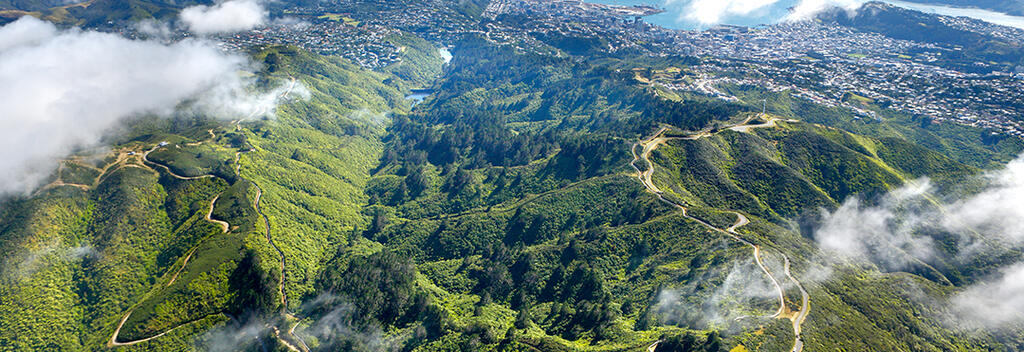 Zealandia - The Karori Sanctuary Experience | Wellington, New Zealand