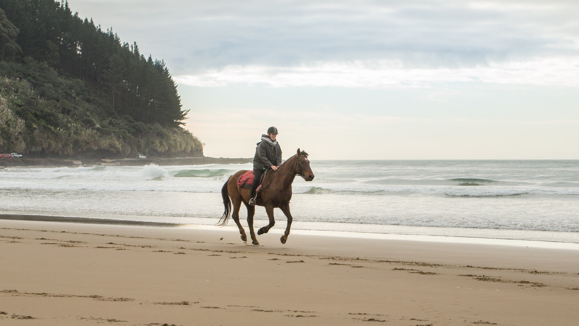 Ahipara Horse Treks | Activity in Northland & Bay of Islands, New Zealand