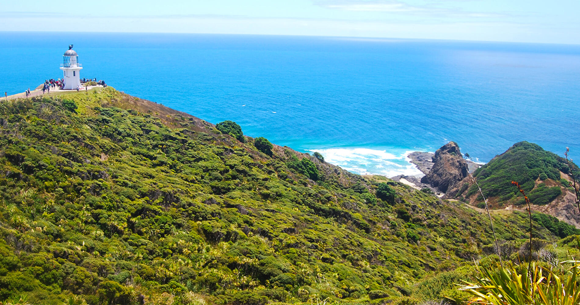 10 Day North Island Adventure Seeker | Tour