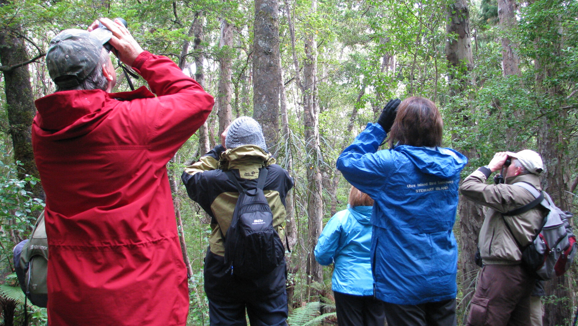 Beautiful Birding & Botany Half Day Ulva Island Guided Walk -Ulva's ...