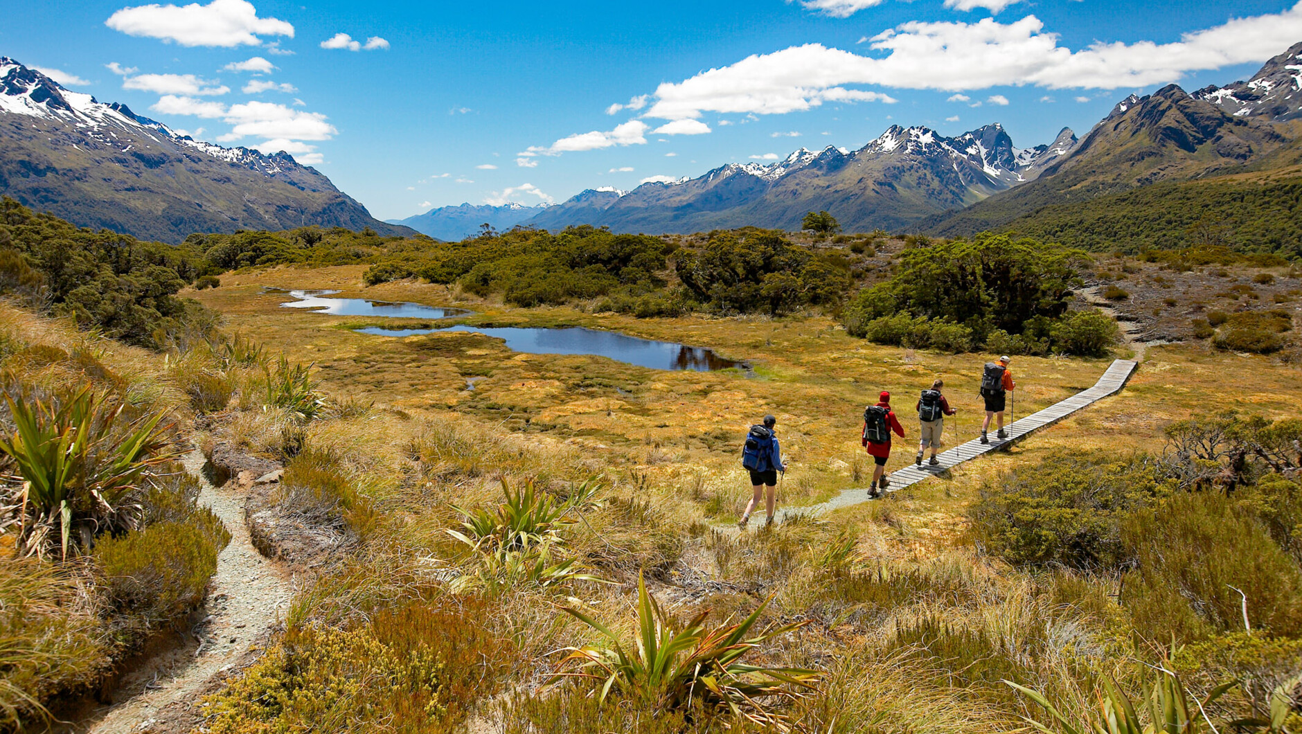 Routeburn Track Guided Walk - Ultimate Hikes | Tour