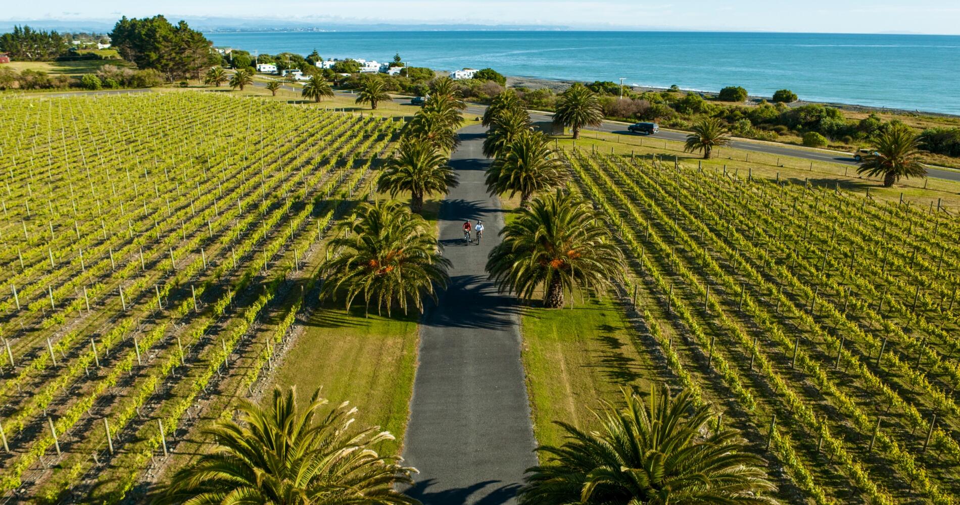 Discover spring in New Zealand | 100% Pure New Zealand