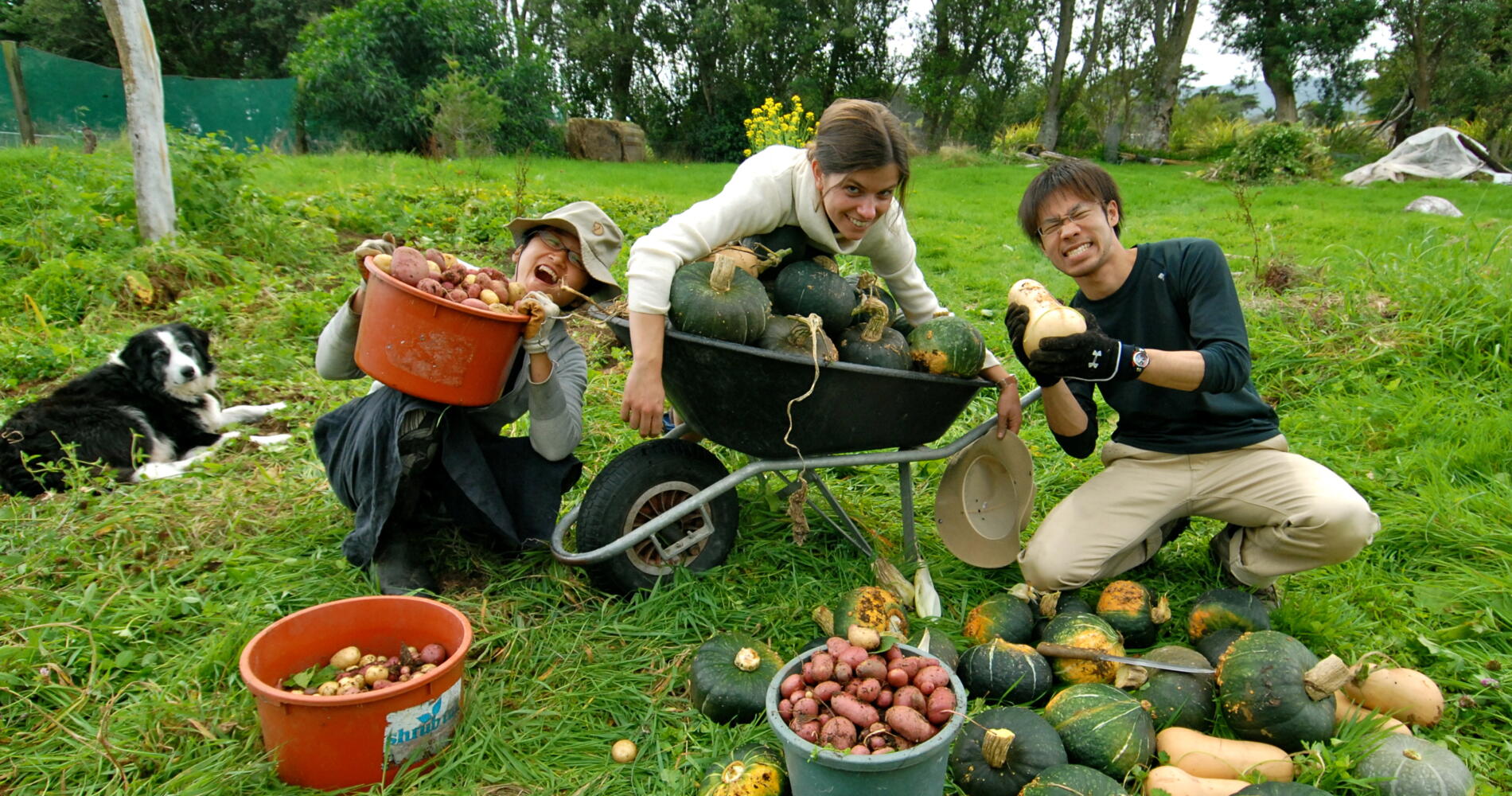 WWOOF | New Zealand