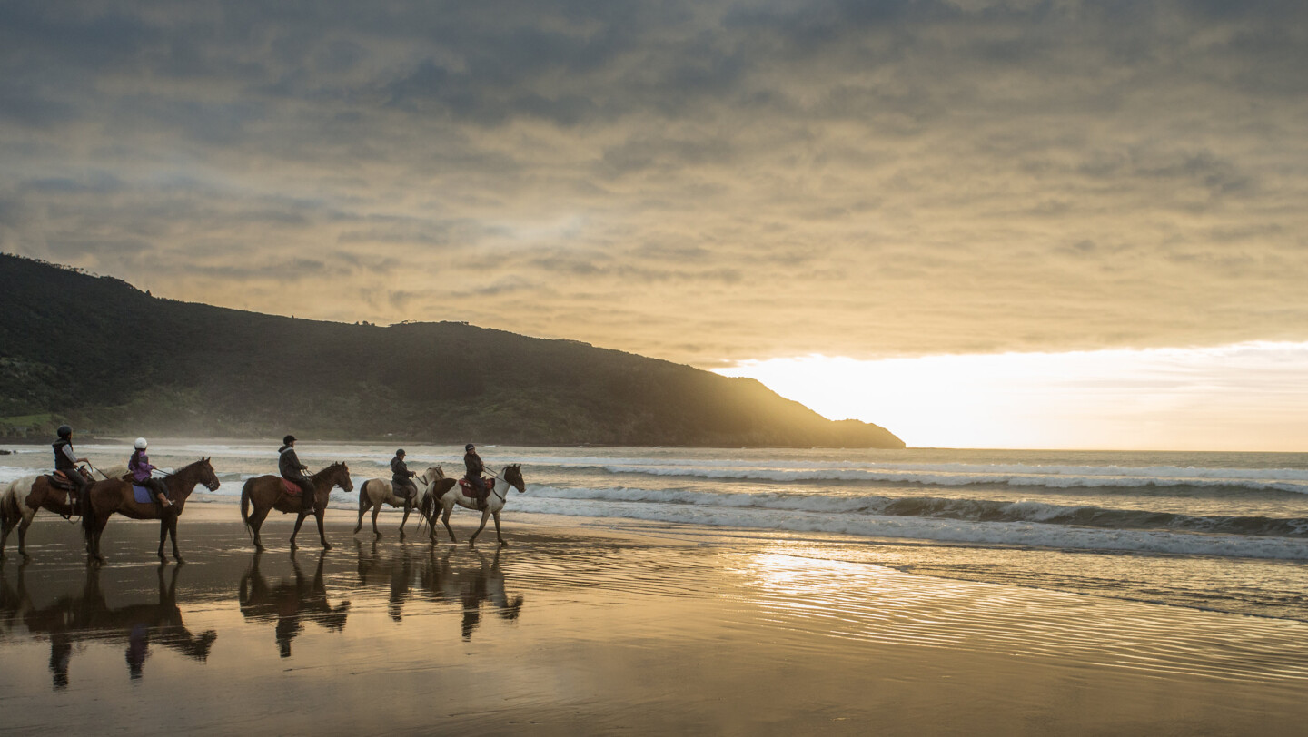Ahipara Horse Treks | Activity in Northland & Bay of Islands, New Zealand