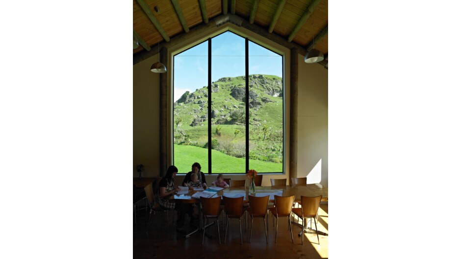 尼考洞穴与咖啡馆 Nikau Cave & Cafe | Activity in 奥克兰, 新西兰