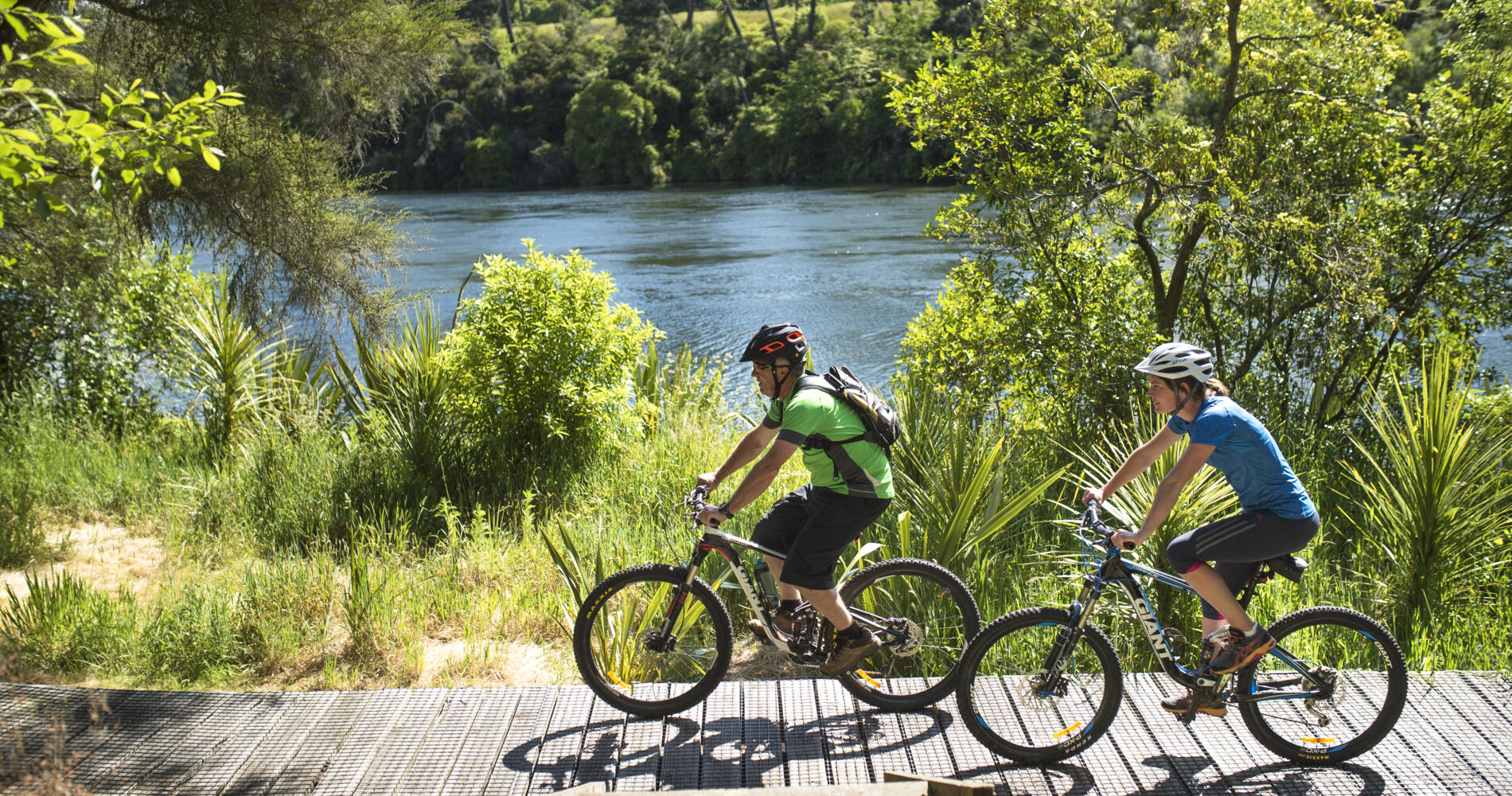 Things to see and do in Putāruru, New Zealand