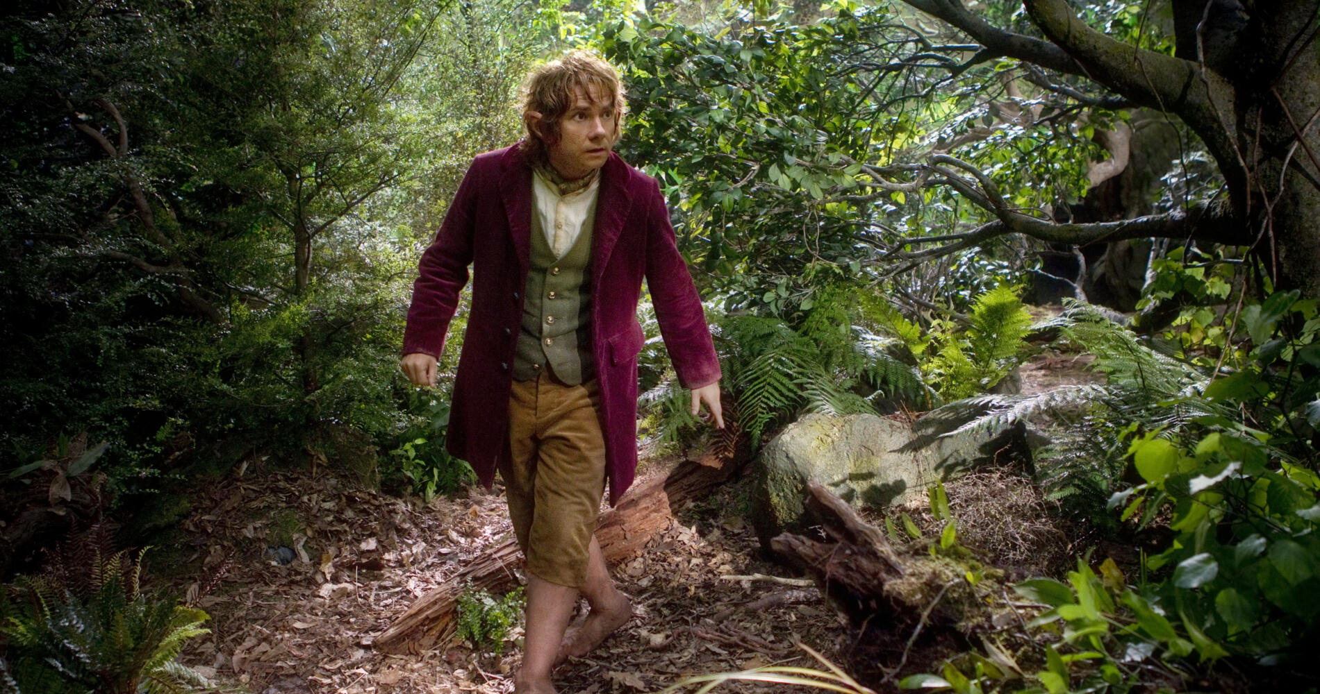 A Hobbit's Journey Through New Zealand